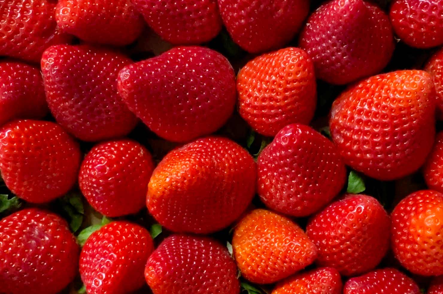 Isola delle fragole - Tigros