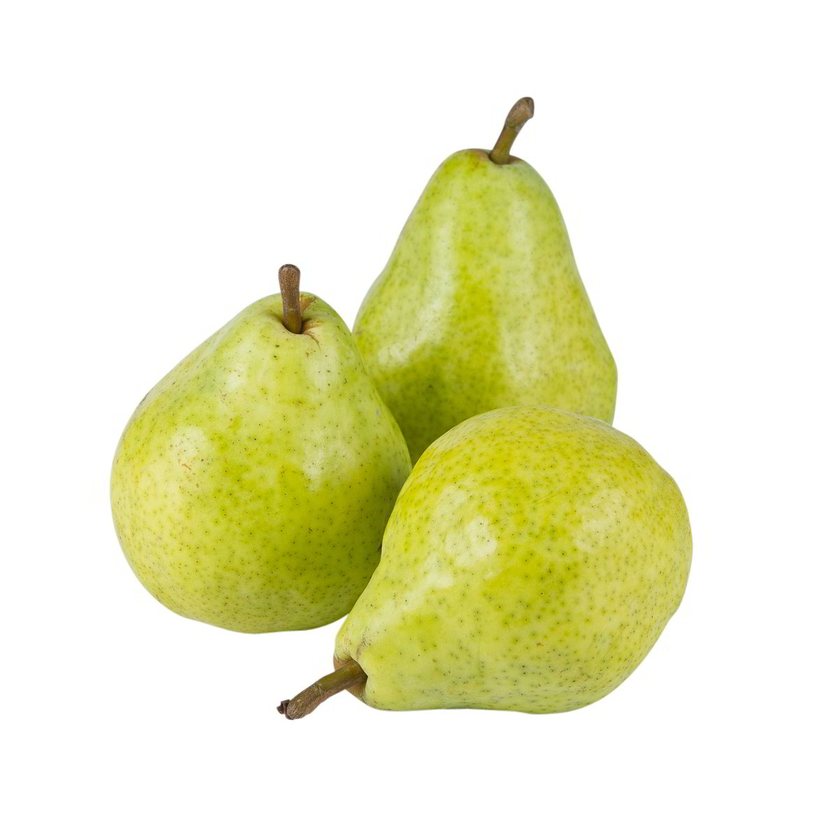 PERE WILLIAMS VERDI - Tigros