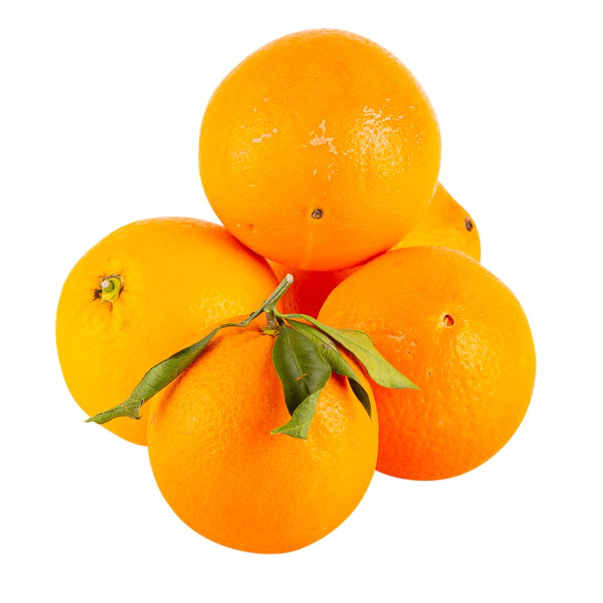 ARANCE BIONDE - Tigros