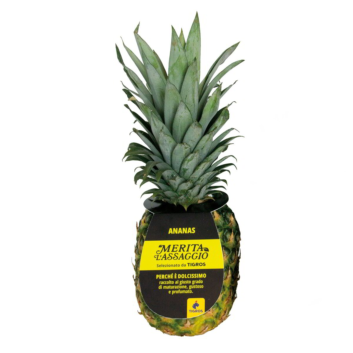 ANANAS GOLD SELECTION MERITA L'ASSAGGIO 1,6 kg - Tigros